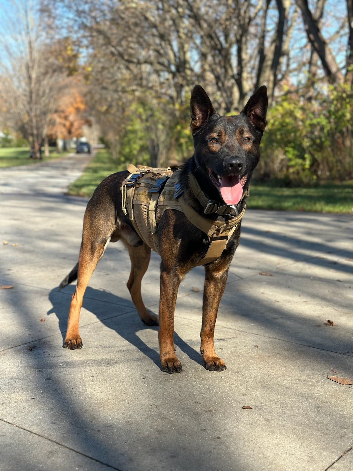 K-9 Unit – City of Rushville